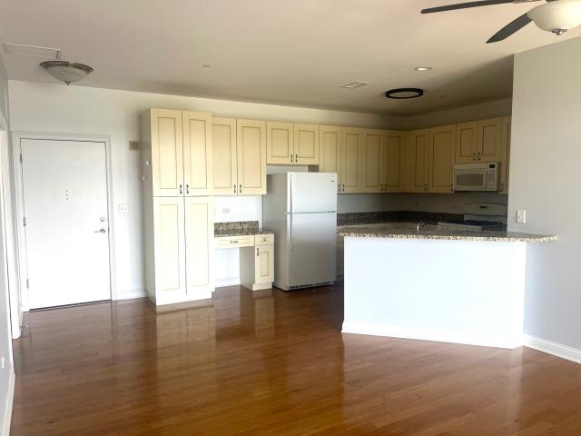 160 S River Street # 312
