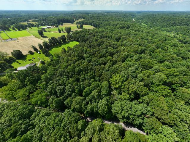 160 W Garretts Creek Rd