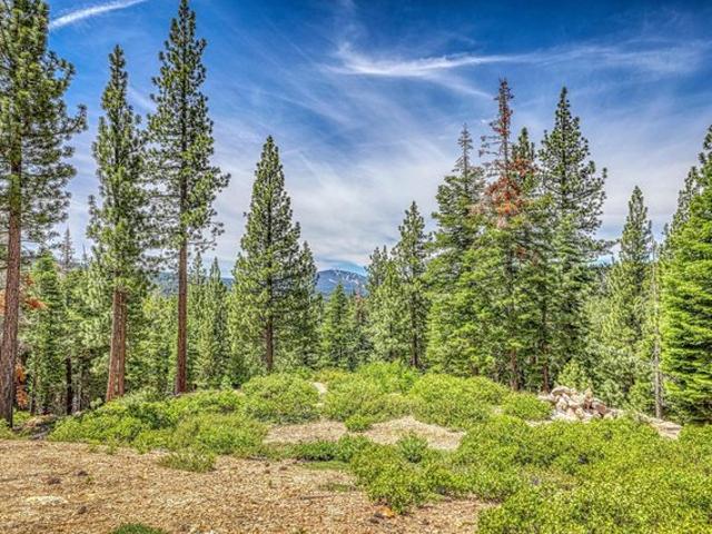 16145 Martis Peak Rd, Truckee, CA 96161