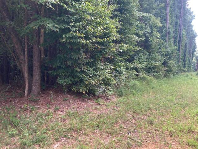 1614 Jones Ferry Road