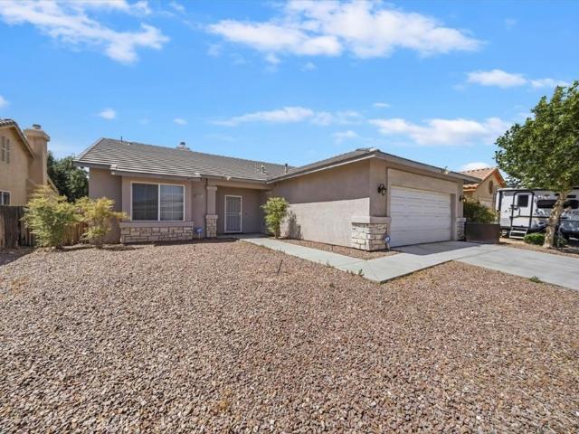 16155 Homoa