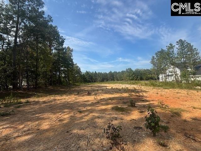 1615 Loner Rd, Blythewood, SC 29016
