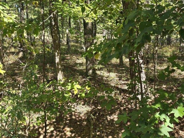 1615 Pebble Beach Dr, Hot Springs, AR 71913