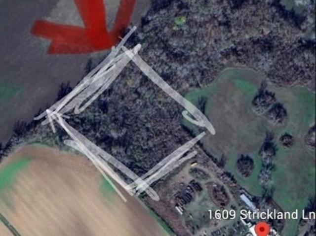 1615 Strickland Lane