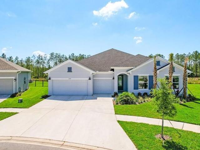 16160 November Rain Ct, Land O Lakes, FL 34638