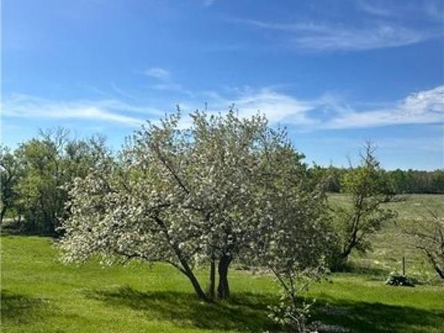 16166 th Ave, Menahga, MN 56464