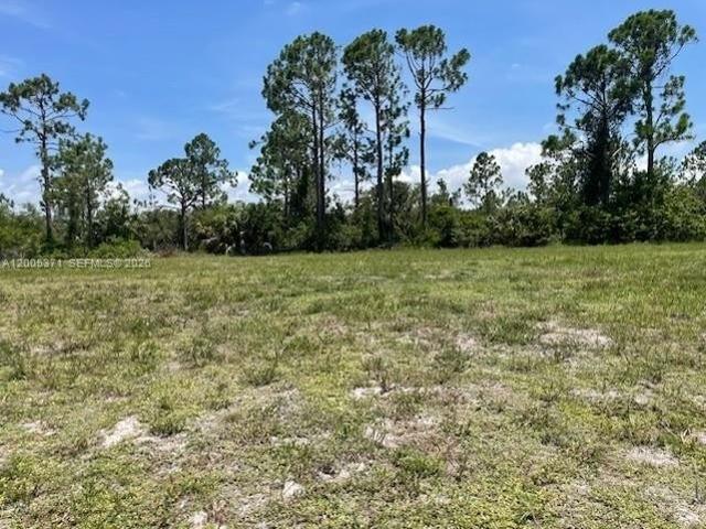 1616 NW 25th Ln, Cape Coral, FL 33993