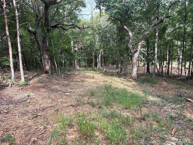 1616 Timber Bluff Trl, Pacific, MO 63069