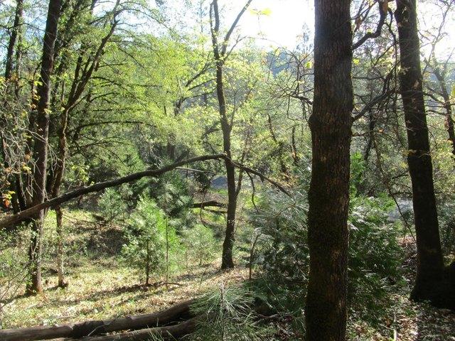 16172 Annie Dr, Grass Valley, CA 95949