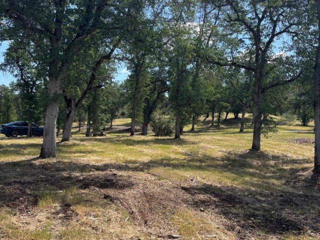 16177 Lower Springs Road