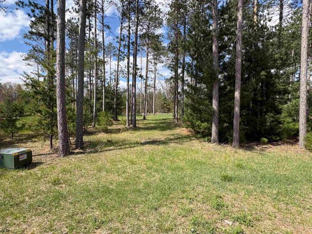 1617 Browndeer Drive