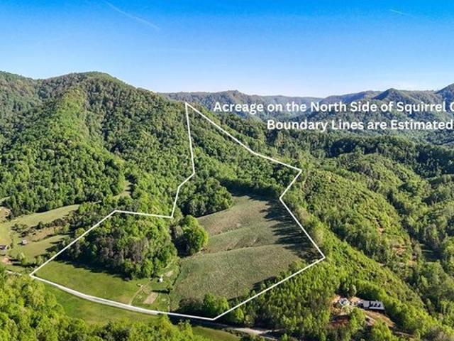 1618 Squirrel Creek Rd, Ararat, VA 24053