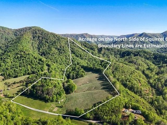 1619 Squirrel Creek Rd, Ararat, VA 24053