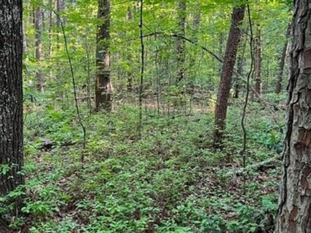 16117 W Patrick Henry Rd, Montpelier, VA 23192