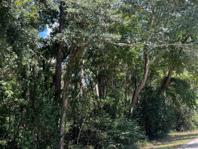 1611 Athens Dr, New Caney, TX 77357 | MLS #43882