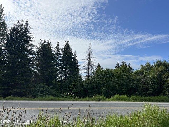 1611 East End Rd, Homer, AK 99603