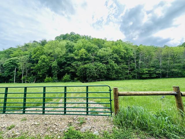 1611 Knob Creek Rd