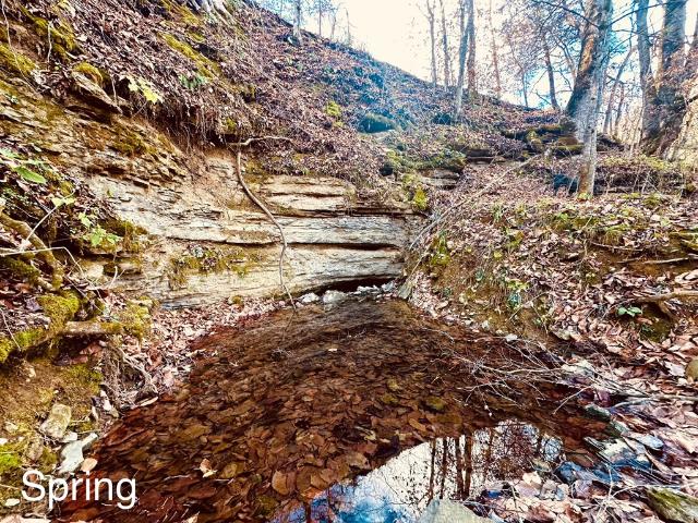 1611 Knob Creek Rd