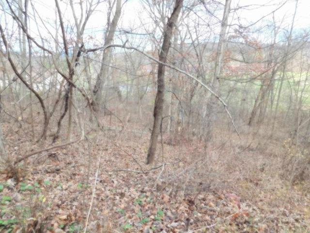 1611 S Springs Dr, Spring Green, WI 53588 | MLS #2014