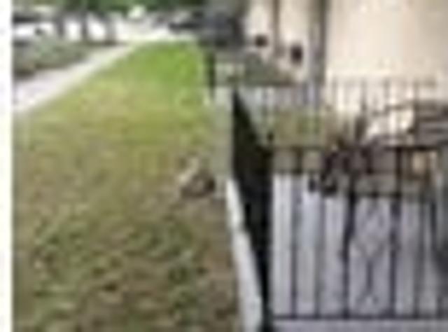 16120 NE 19th Place 1 Bed s 1 Bath s