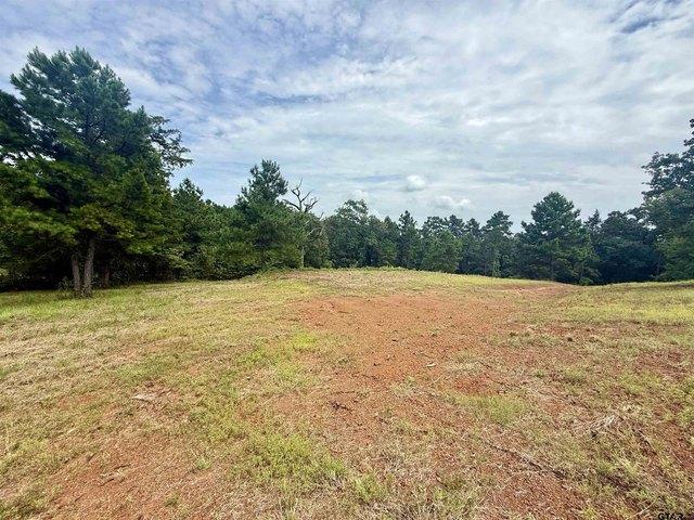 16121 W Valley Vw, Winona, TX 75792