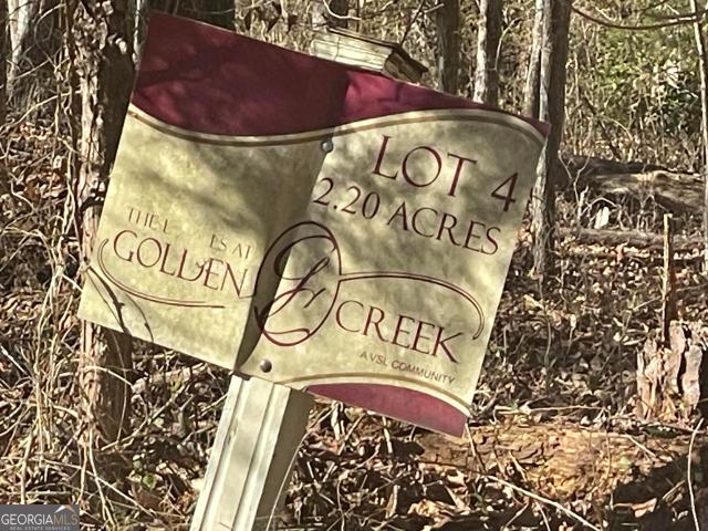 1612 SW Golden Creek SW, Unit LOT #4, Conyers, GA 30094 | MLS #10664 | Compass
