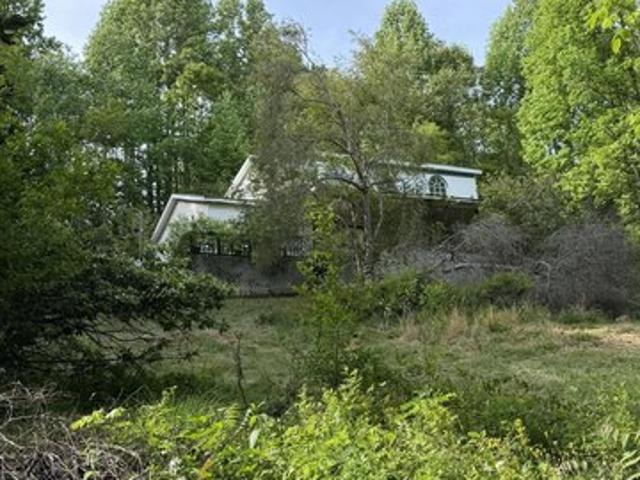 16135 Pocahontas Trl, Meadowview, VA 24361