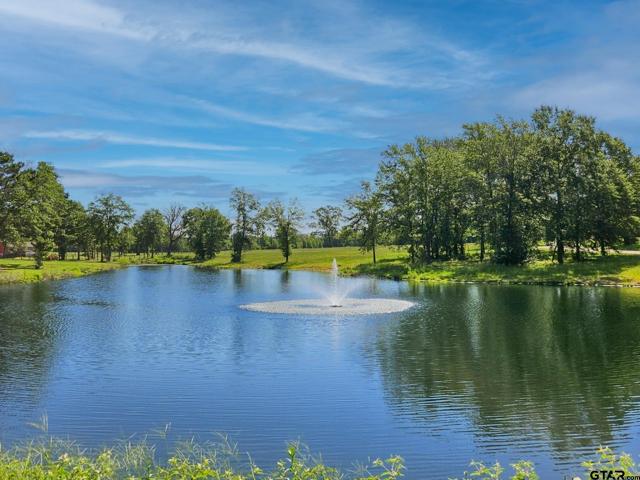 16138 County Road 192, Tyler, TX 75703 | MLS #25015 | Compass
