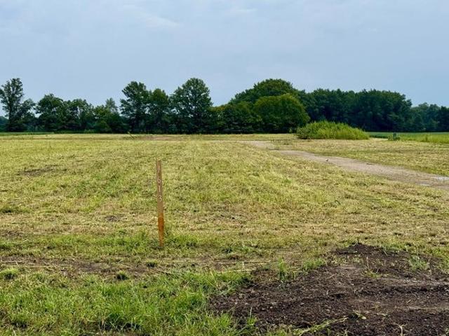 1613 County Road 165, Ashley, OH 43003