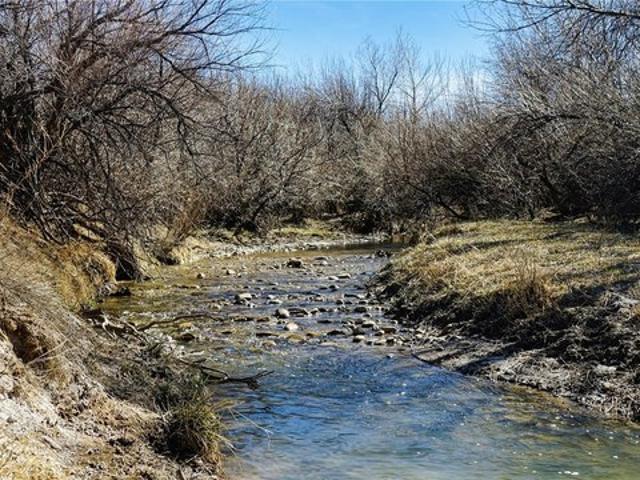 161 Colorado Land Lot 161 and Livestock, Walsenburg, CO 81089