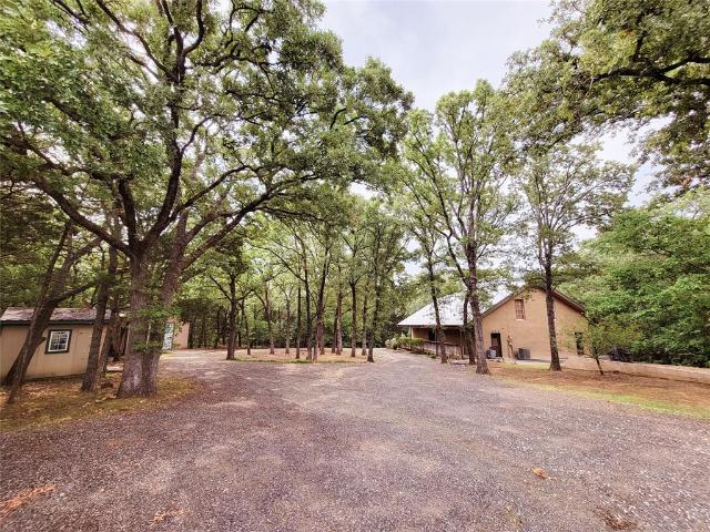 161 Colt Dr, Sadler, TX 76264 | MLS #21078