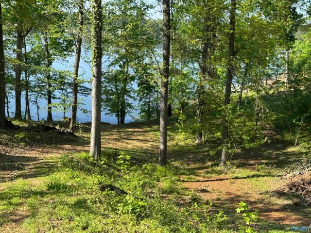161 Monte Sano Drive