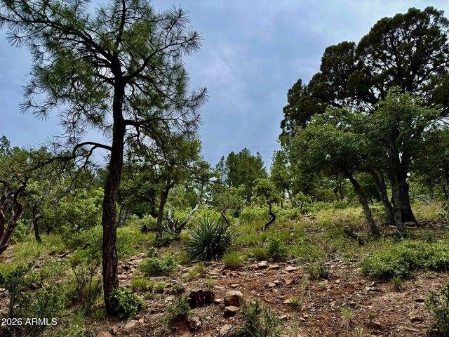 161 N Portal Dr Unit 161, Pine, AZ 85544