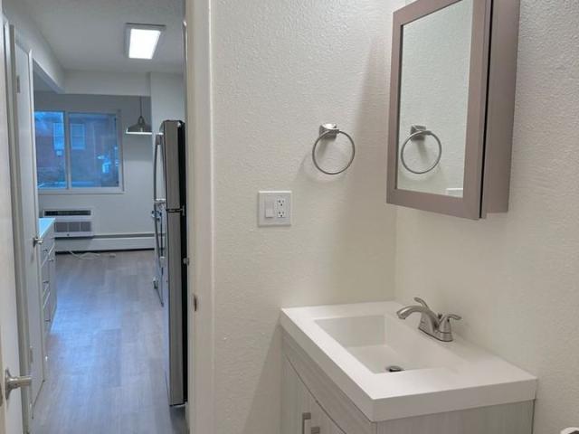 161 South Emerson 1 Bedroom Apartment for Rent at 161 S Emerson St, Denver, CO 80209 Speer