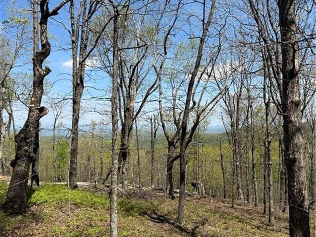 161 Sharp Mountain Pkwy, Jasper, GA 30143 | MLS #7753
