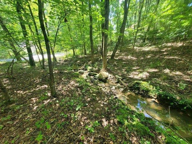 161 Sugarbush Cir Lot 350, Crossville, TN 38558