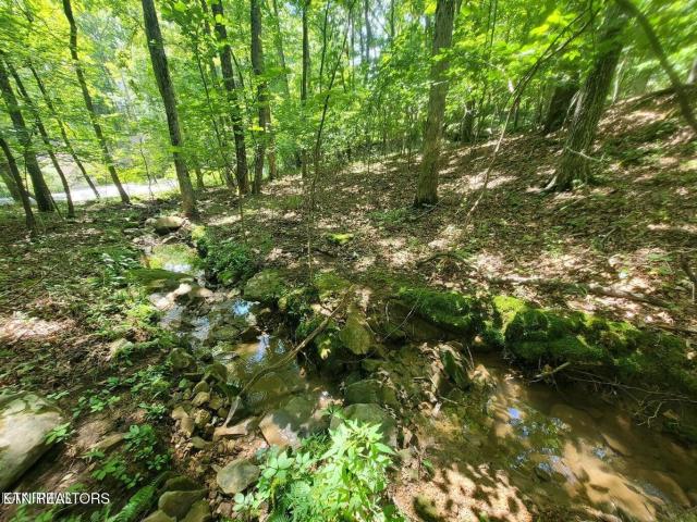 161 Sugarbush Circle
