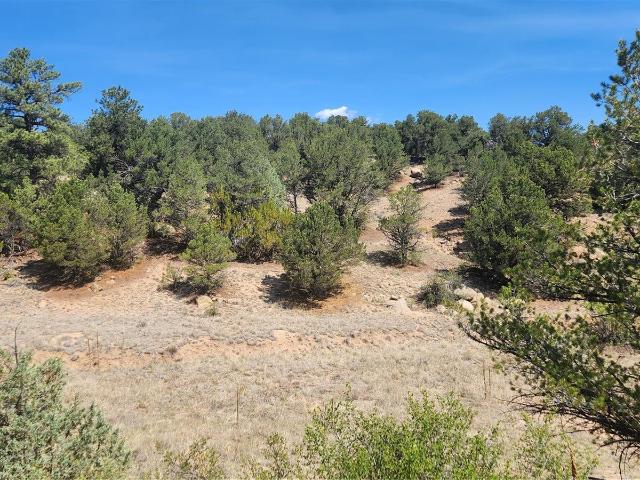 161 Ponderosa Lane