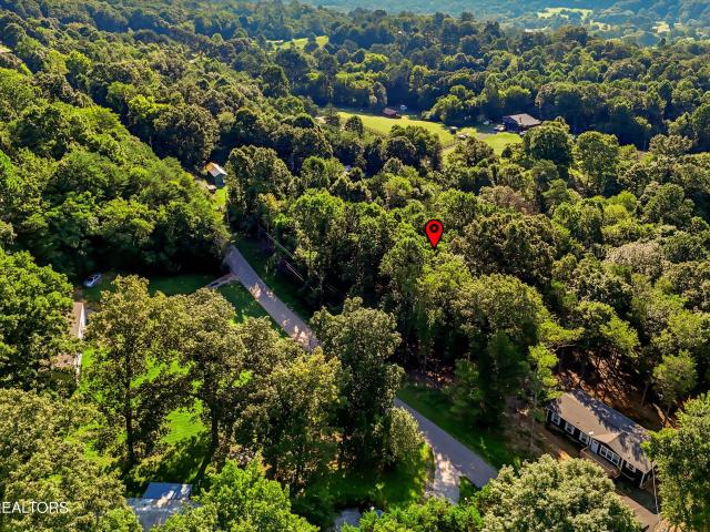 161 Pinecrest Drive
