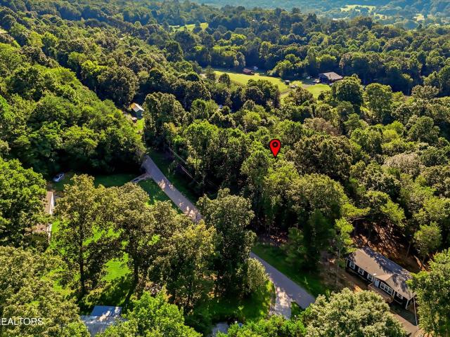 161 Pinecrest Drive