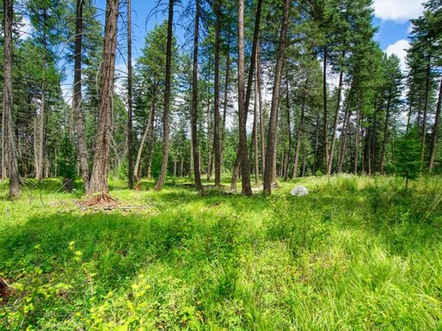 161 Rosewood Ln Lot 10, Whitefish, MT 59937