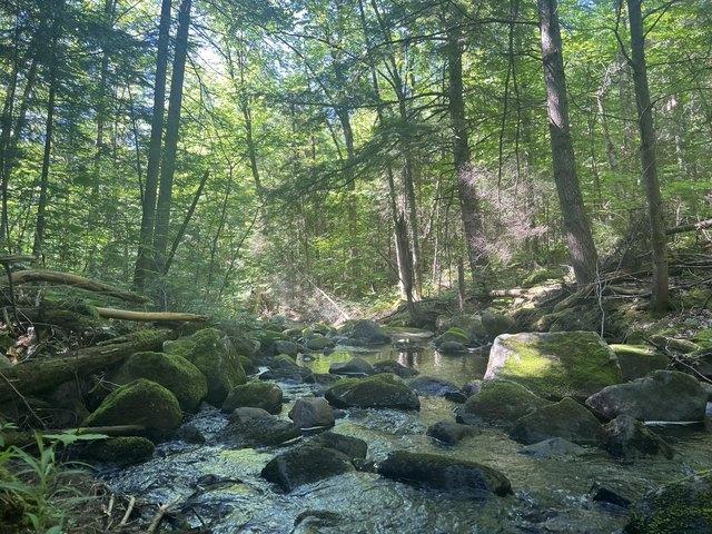 161 Riddle Rd, Mineville, NY 12956