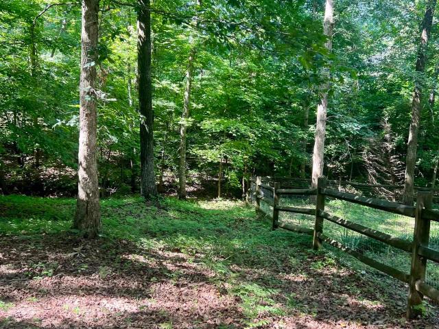 161 Timberlake Drive