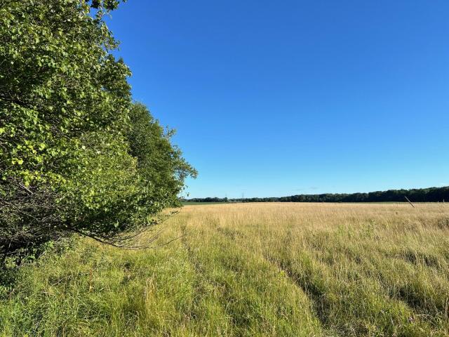 16244 Holden Road, Unit B3, Galien, MI 49113 | MLS #23146 | Compass