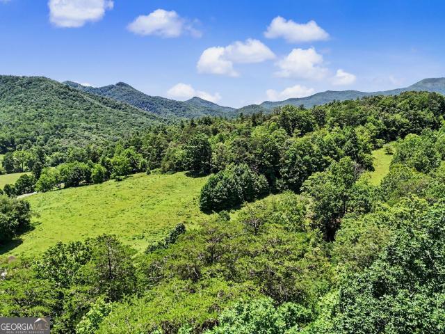 1624 Bettys Creek