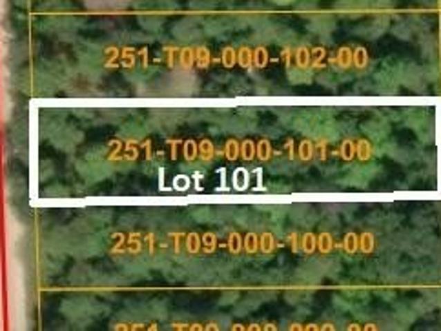 16253 Timberline Dr Lot 101, Wolverine, MI 49799