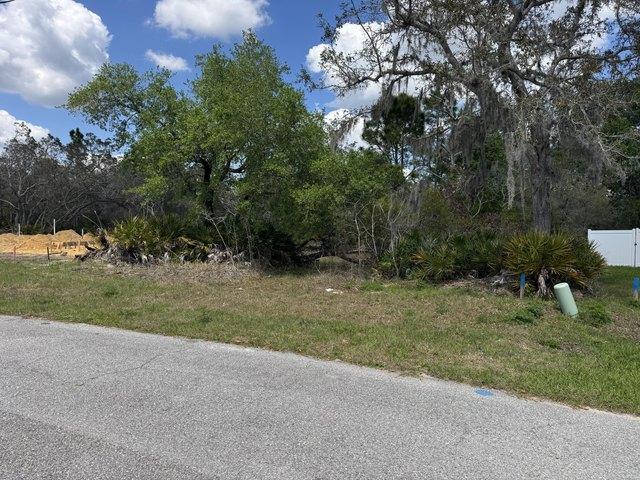 1625 Pickerel Ct, Poinciana, FL 34759