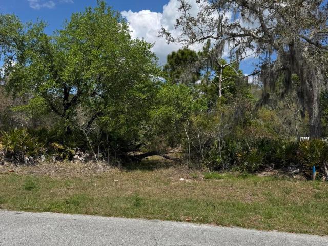 1625 Pickerel Ct, Poinciana, FL 34759 | MLS #B26013