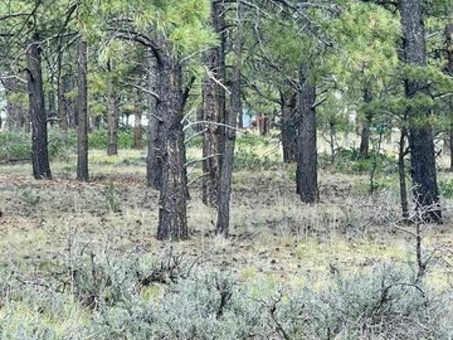 1627 W View Rd, Pagosa Springs, CO 81147