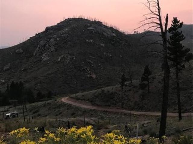 16280 Cochise Trl, Pine, CO 80470